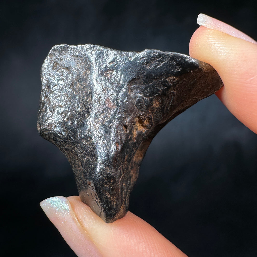 Canyon Diablo Meteorite, 42.84g, Meteor Crater, Arizona – Atmosphere ...