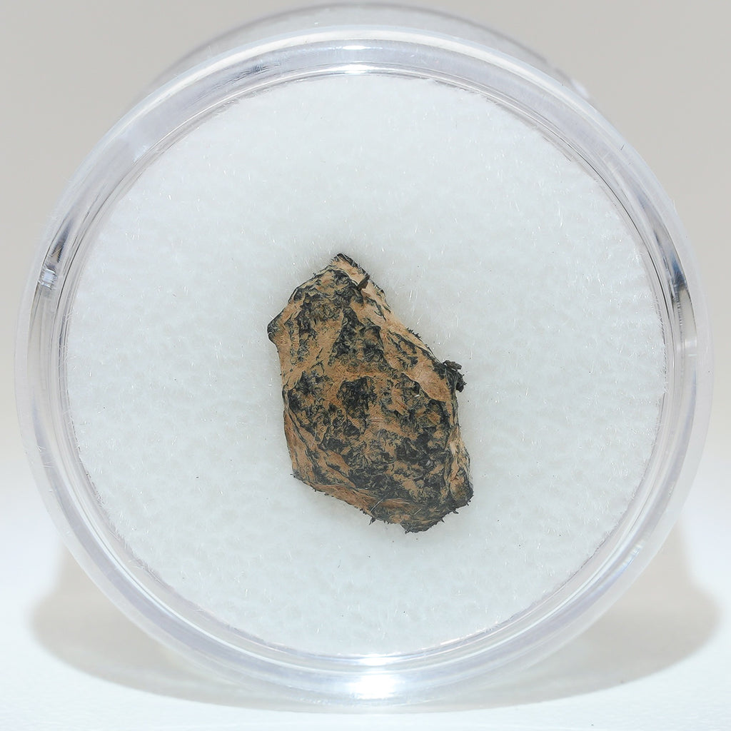 Gibeon Meteorite with Desert Patina from Namaland, Namibia, .7g ...