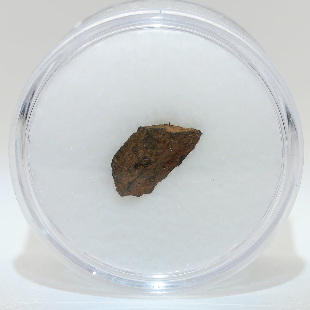 Gibeon Meteorite with Desert Patina from Namaland, Namibia, .3g ...